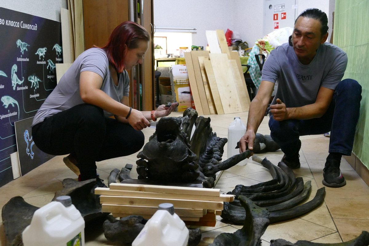 Мамонт из Лебяжья. Или как за три дня найти и выкопать из-под воды кости древнего гиганта.