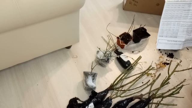 Отзыв клиента Агромаркет24!.mp4