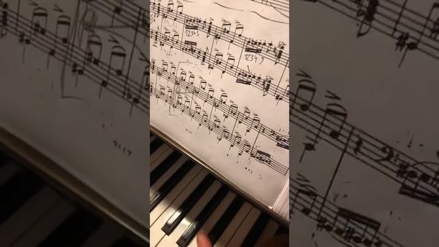 Фрагмент урока online Tchaikovsky Seasons February Чайковский Февраль.mp4