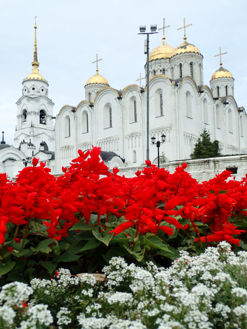 Город Владимир