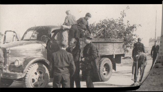 Цветок победы