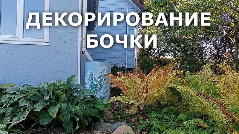 Бочка с папоротником (декорирование)