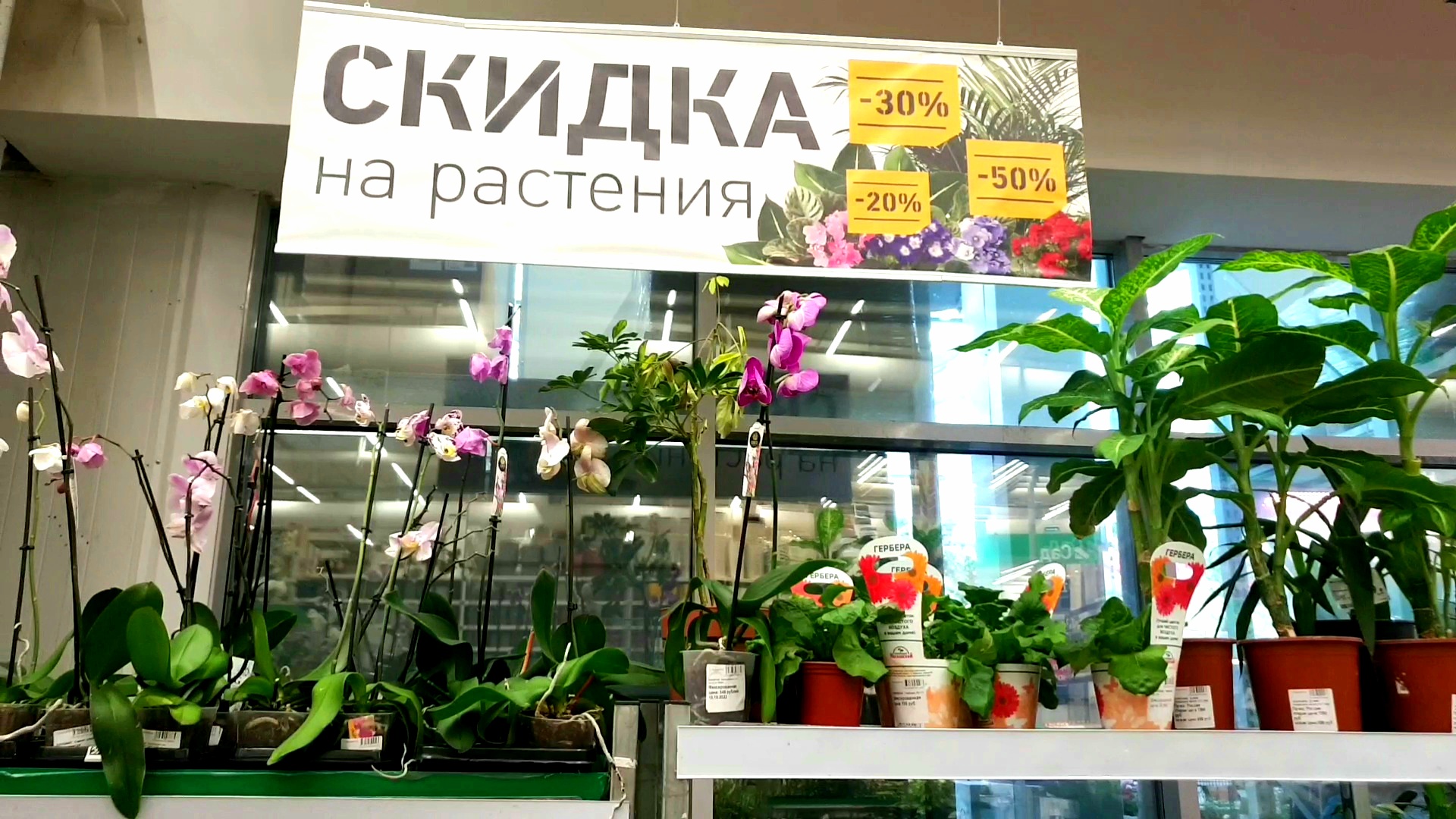 ??БАУЦЕНТР?ЦВЕТОЧНАЯ УЦЕНКА