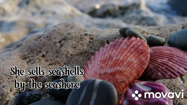 Tongue Twister. She sells seashells by the seashore