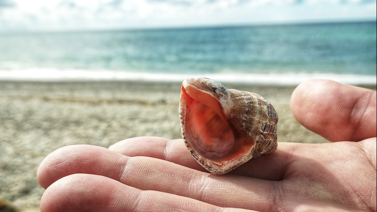 Дело было осенью