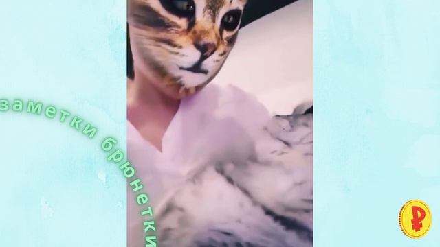 Как сломать психику кошки