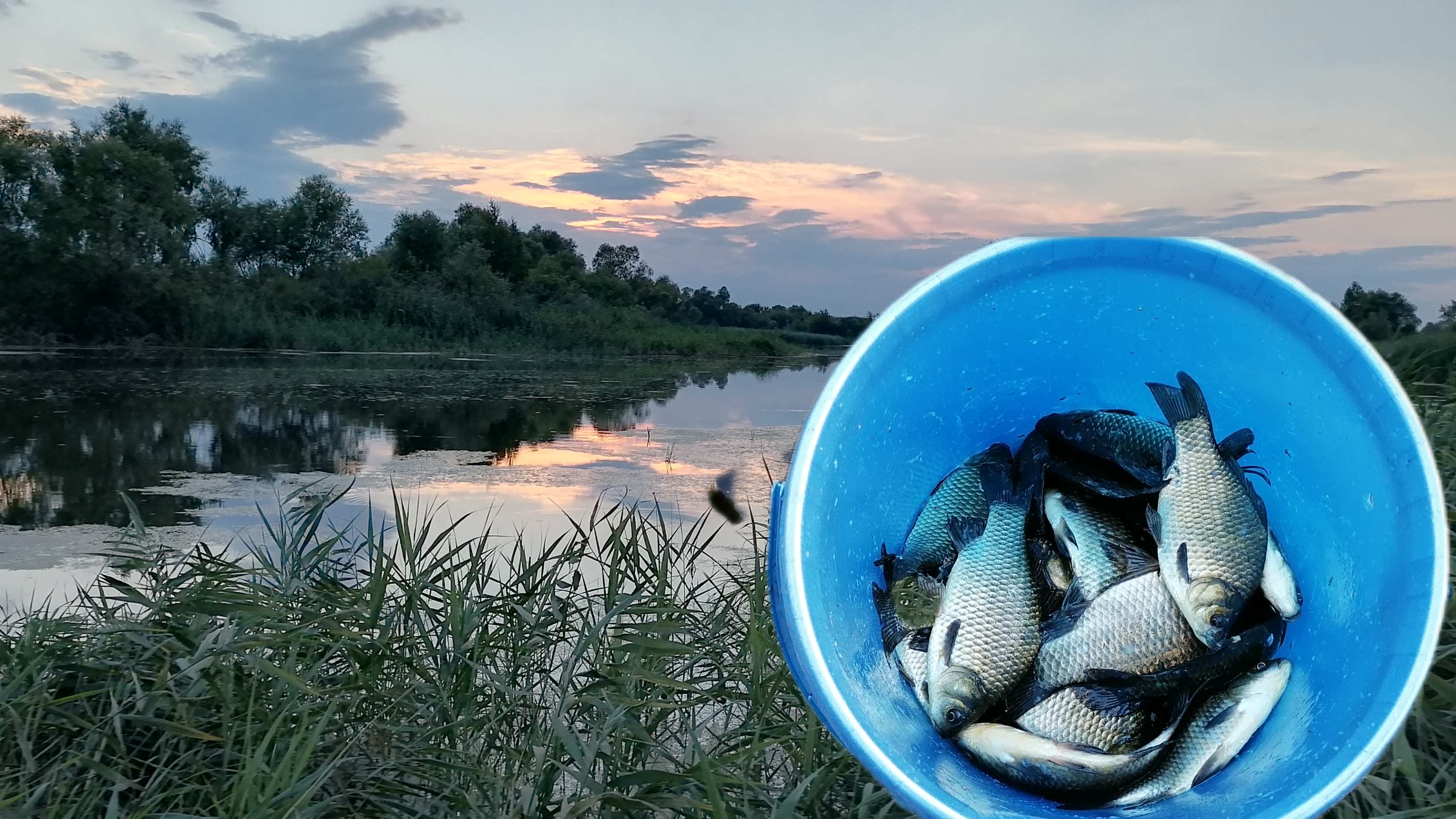 ЧТО УДАЛОСЬ ПОЙМАТЬ ЗА ДВА ЧАСА РЫБАЛКИ.