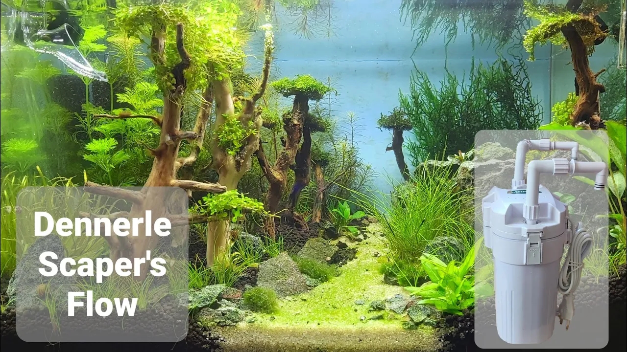 Обзор внешнего фильтра Dennerle Scaper's Flow