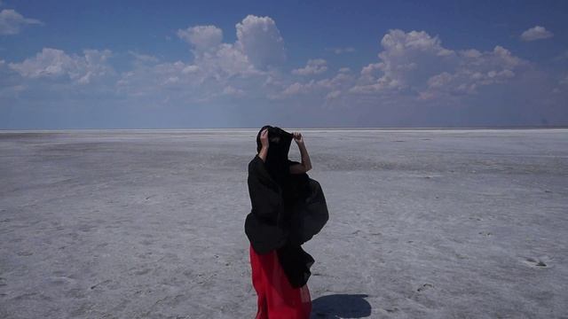 Черная птица соленой пустыни