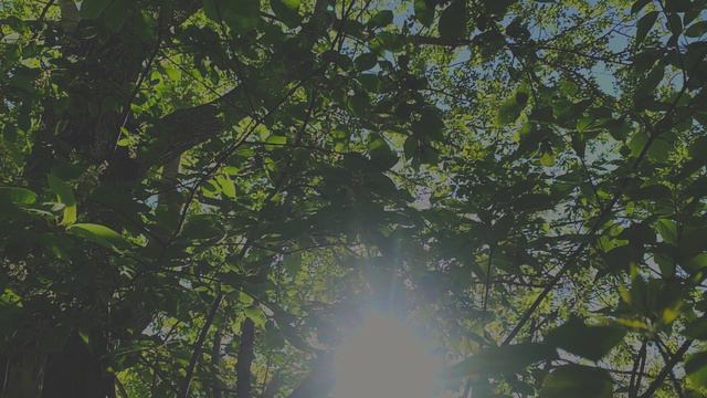 Международный фестиваль фотографии и медиа-искусства проводит Open Call 2024
Project: Serenity