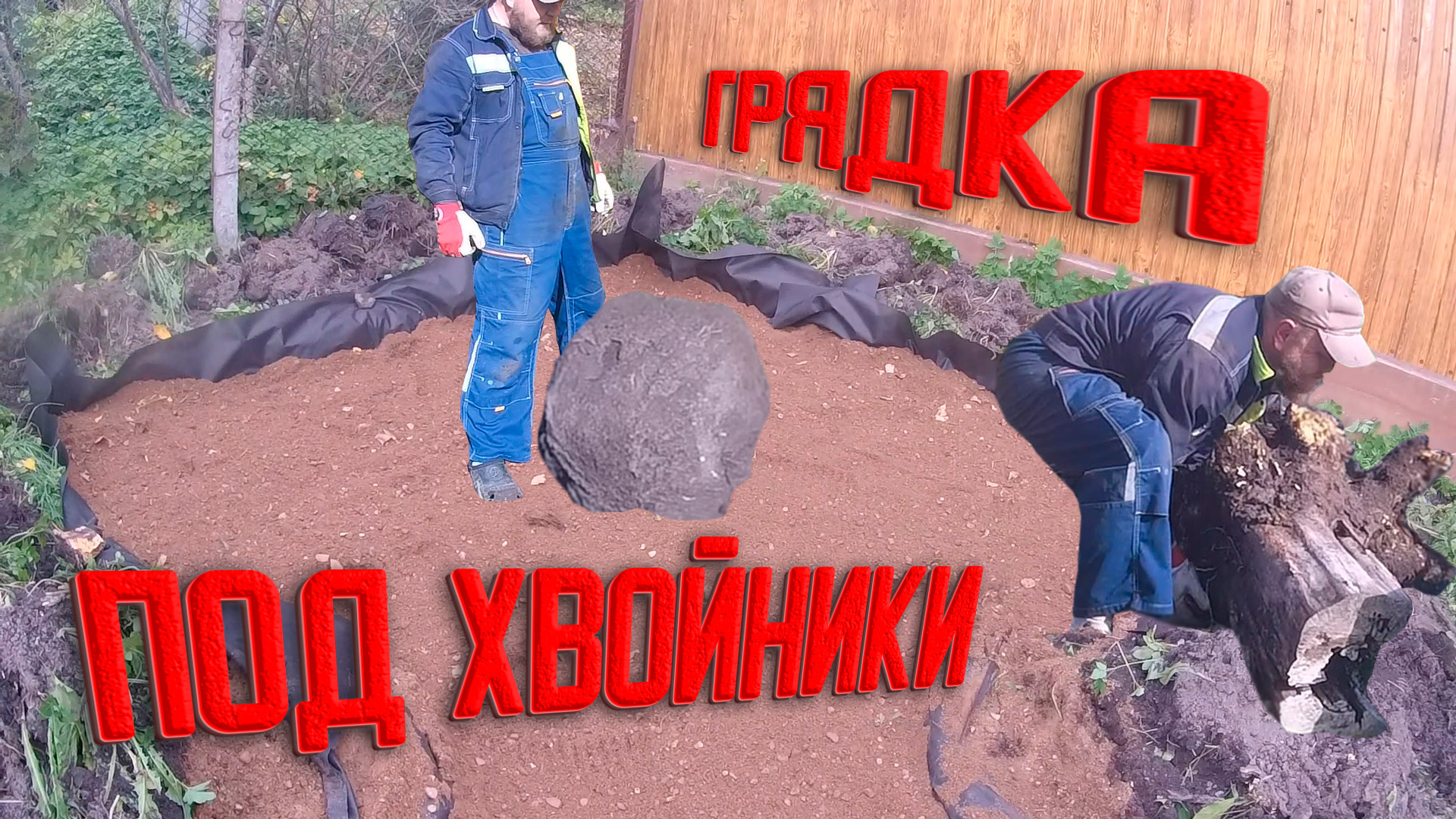 Грядка под хвойники. Начало.