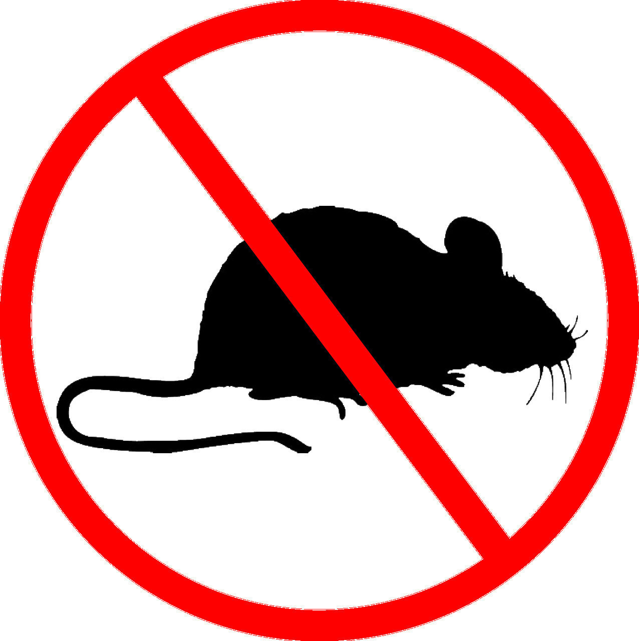 как избавиться от крыс и мышей