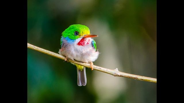 Tody [profit for type beat 2022]