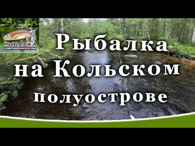 Рыбалка на Кольском полуострове. Форель в Мурманской области.  Август 2019
