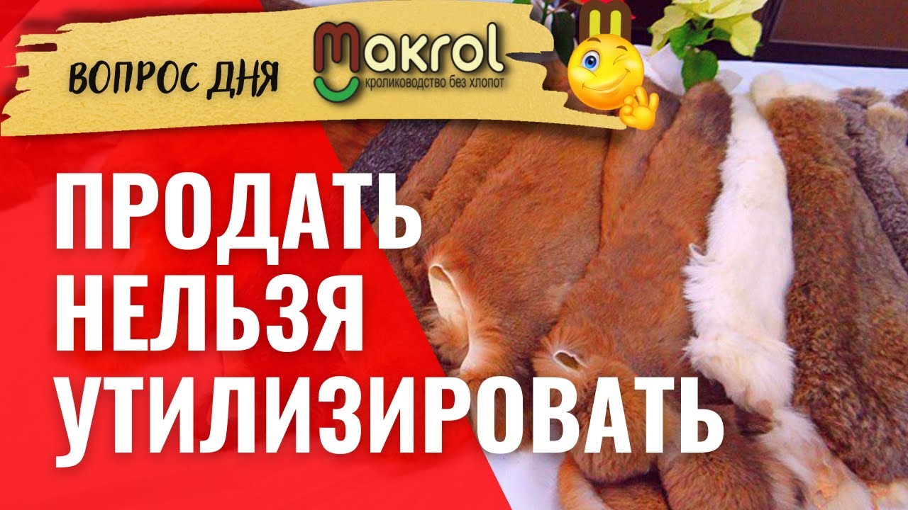 ?Куда пристроить шкуры кролика. #макляк #Макрол