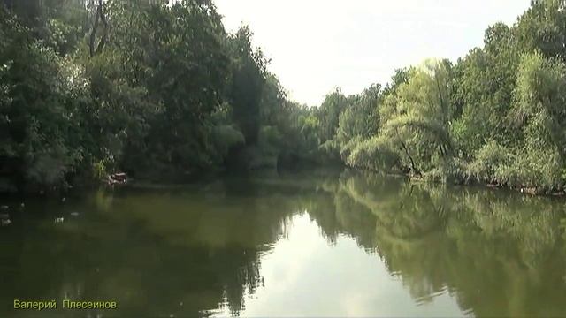 Игорь Кибирев - Расскажите ивы мне.