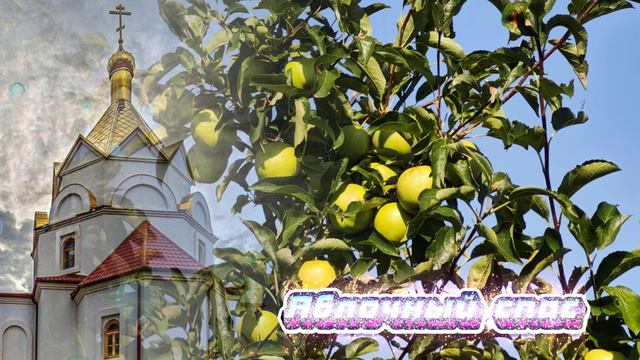 Футаж. Яблочный спас 18