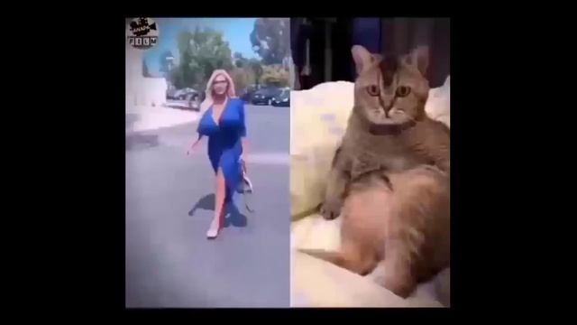 А у нас во дворе