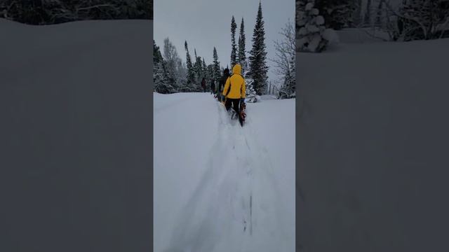 Фрирайд в Шерегеше, проходим пологие участки перед стартом