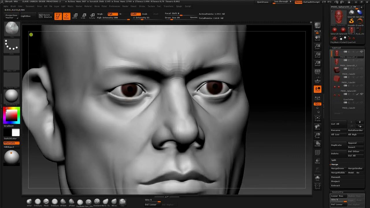 Anat Vol 02 17  Final Details Of The Face