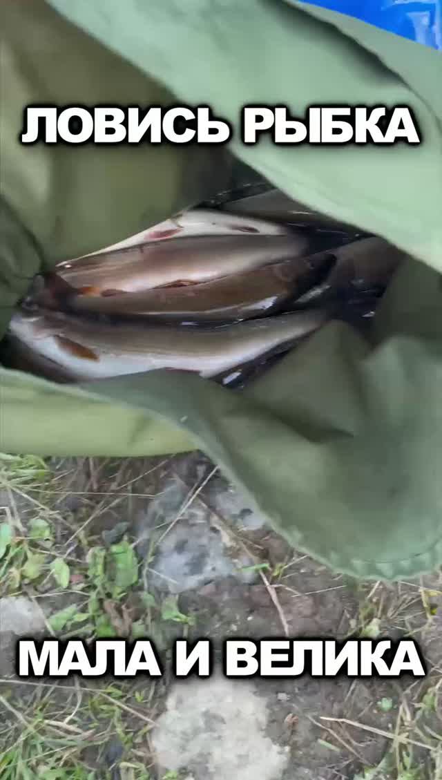 ЦАРСКАЯ #рыбалка #улов #хариус #Косьва #Рассольный