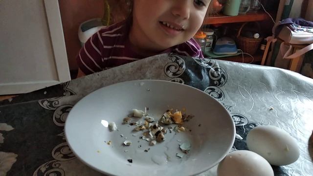 Ребенок ест яйцо со скорлупой..mp4