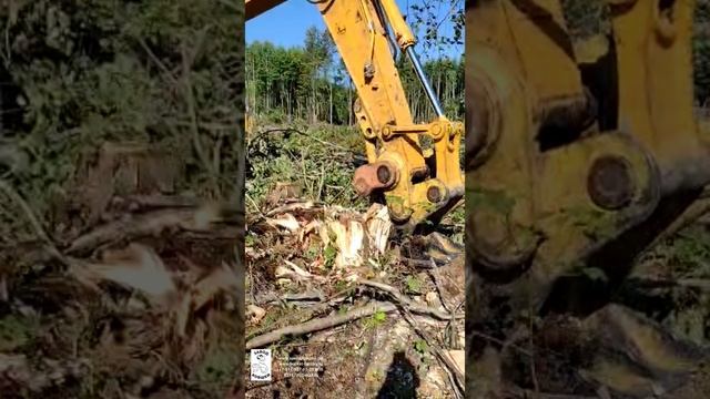 Корчеватель пней за смену выкорчевывает 2 га