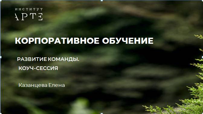 Развитие команды. Командная сессия для руководителей.