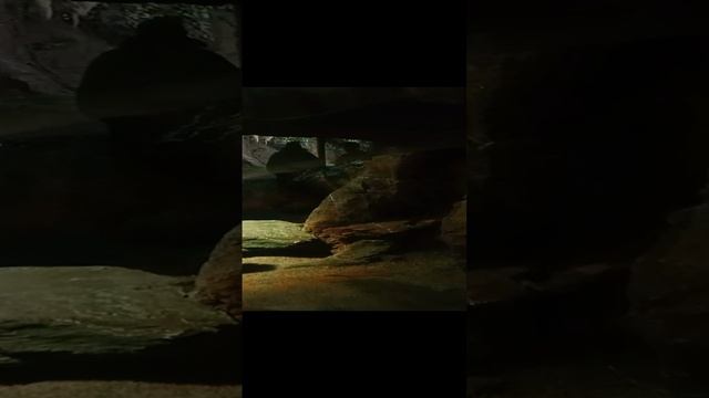 океанариум СПБ Питер