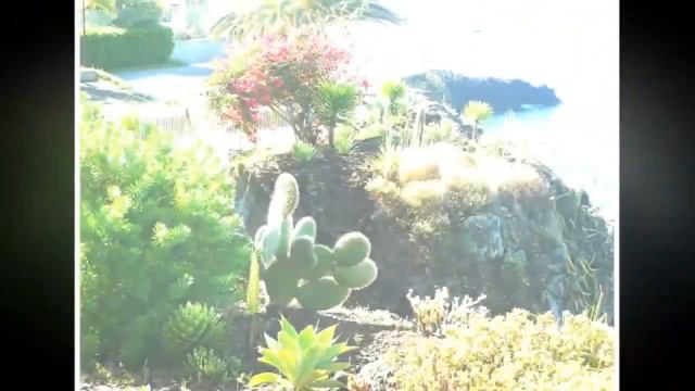 Мадейра, Португалия (Madeira, Portugal)