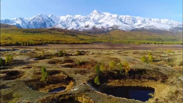 Кусочек Алтайского края!