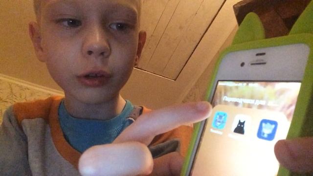 Ваня и перевочики для кошек