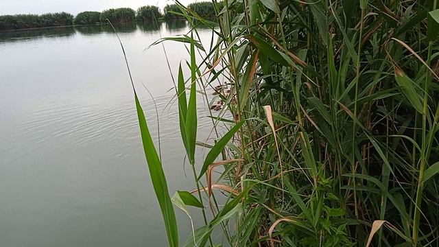 Это было круто. Севан