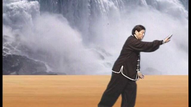 108 Традиционная круглая форма тайцзицюань стиля У. Ч 8