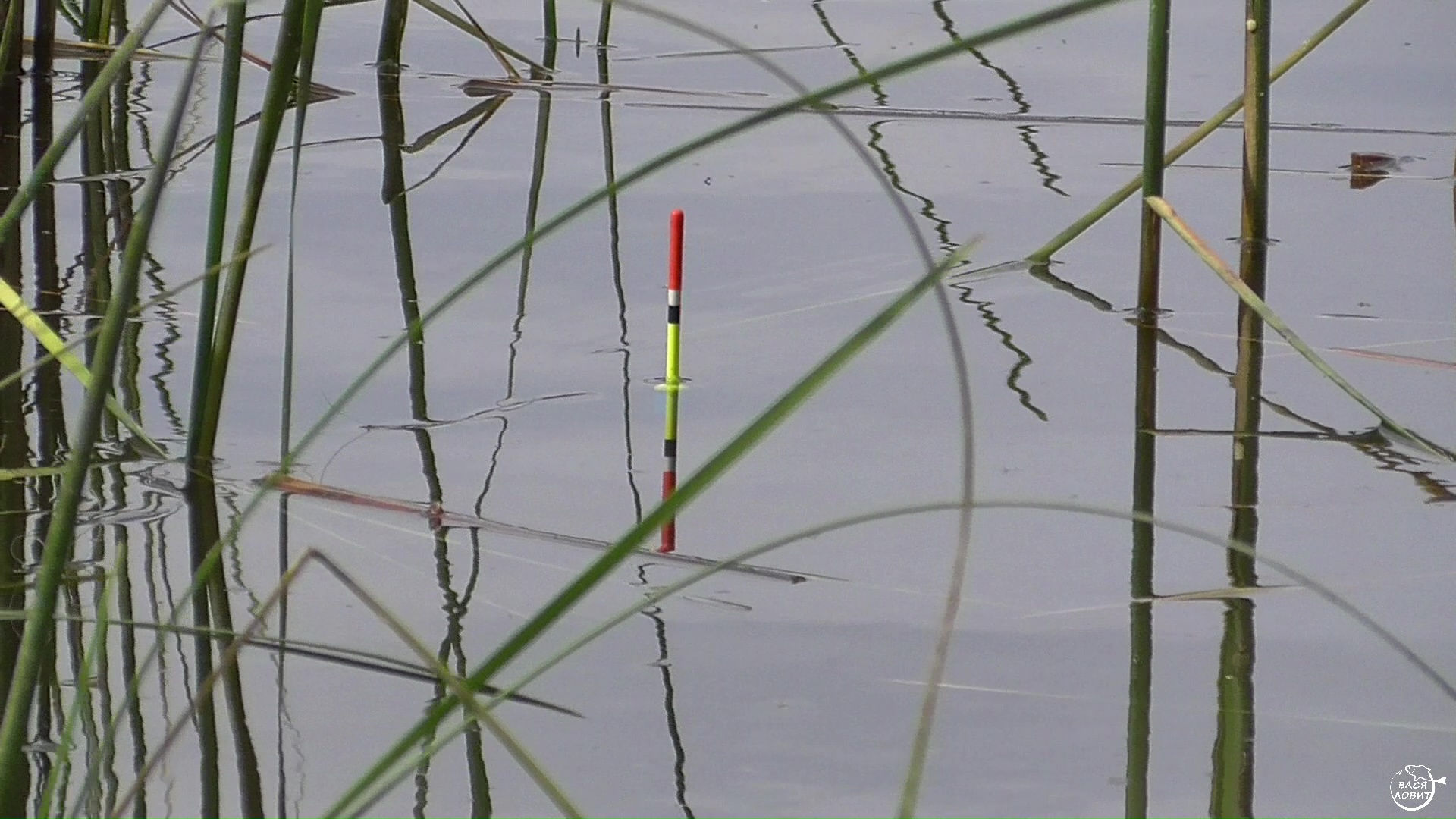 КАРАСЬ НА ПОПЛАВОК. ДРУЗЬЯ МЕНЯ ОБЛОВИЛИ май 2022 р.Дон (31.05.2022)