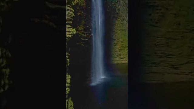 Все в природе лирично, Хоть и не всегда логично.