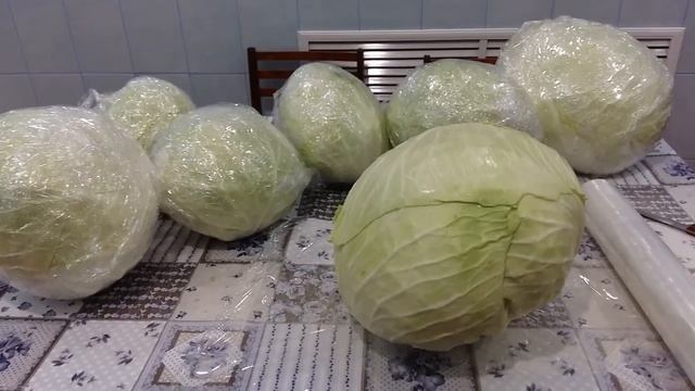 Мой метод надежного хранения капусты.