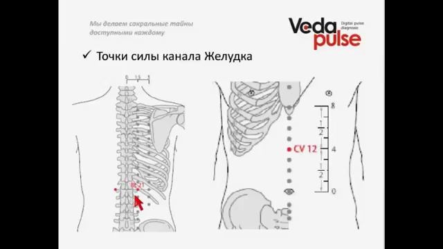Канал Желудка, диагностика и методы воздействия