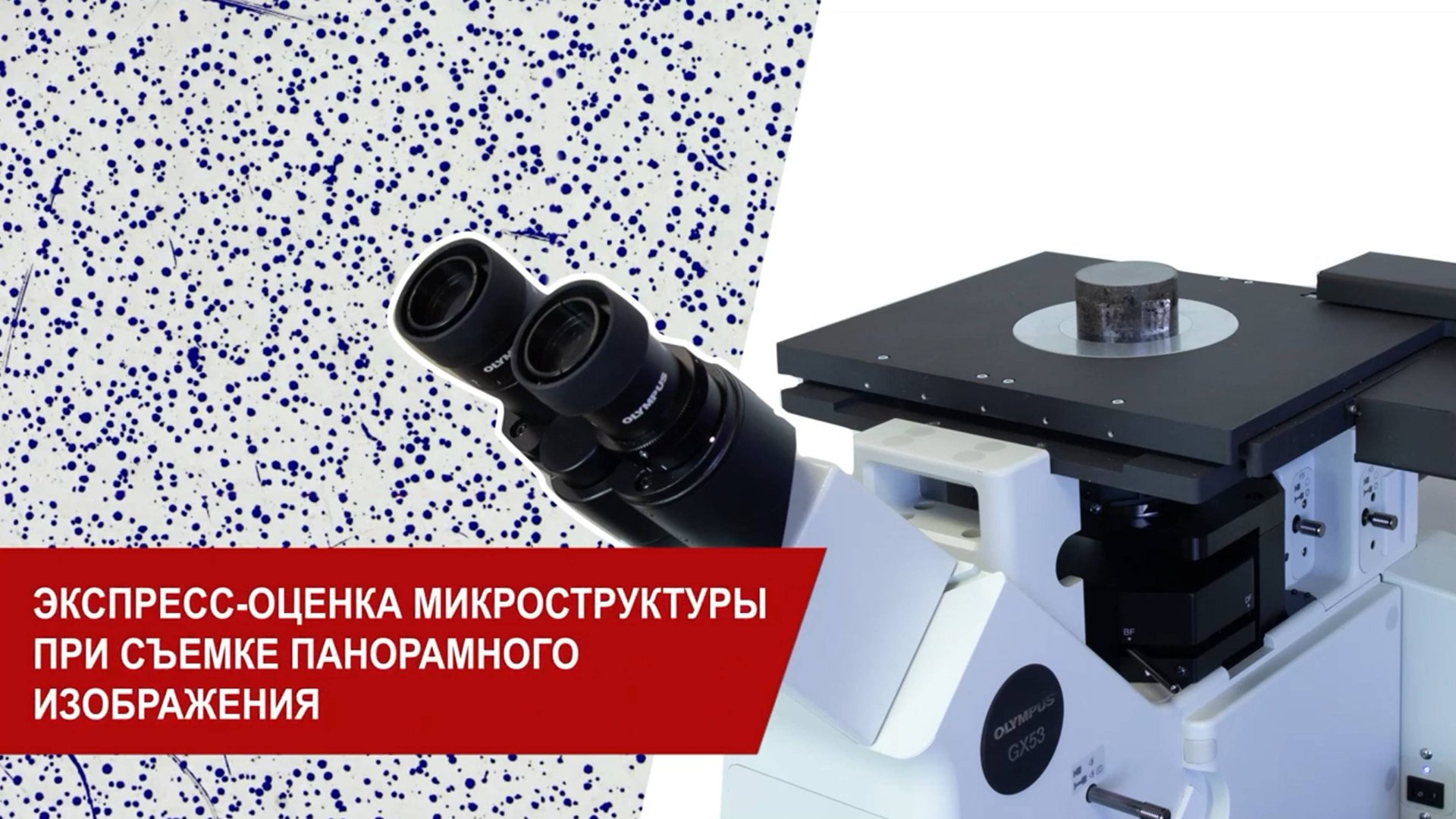 SIAMS800: Экспресс-оценка структуры при съемке панорамного изображения