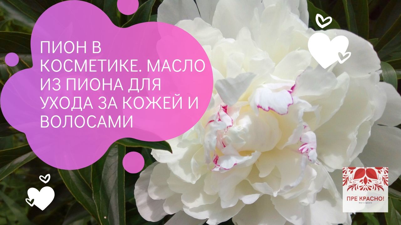 МАСЛО ПИОНА своими руками! Секрет роскошных волос и бархатной кожи из лепестков