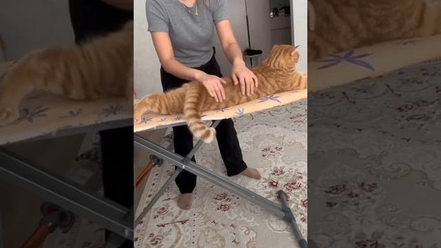 вот для чего нужна гладильная доска