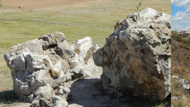 Камышинские горы уши