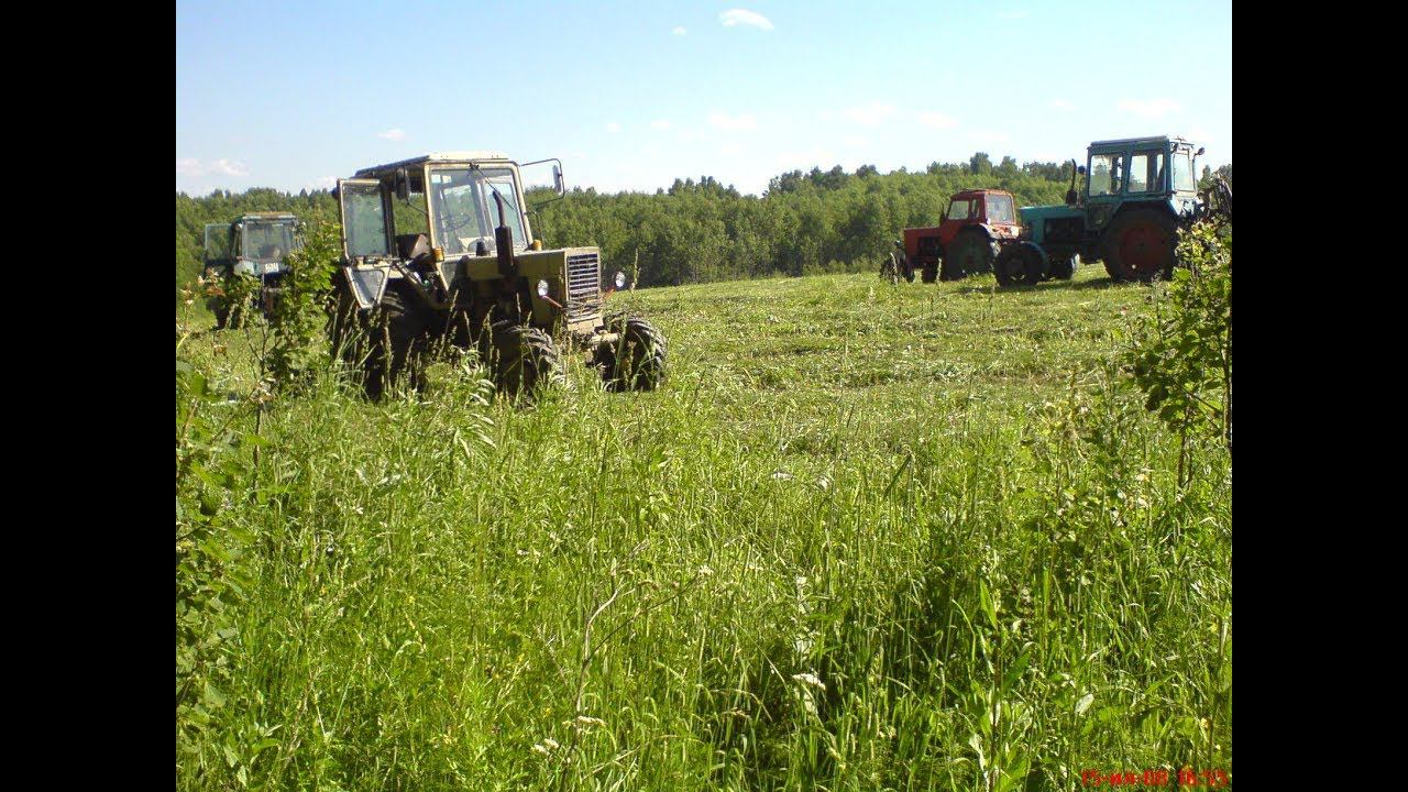 Заготовка сена на мтз-82