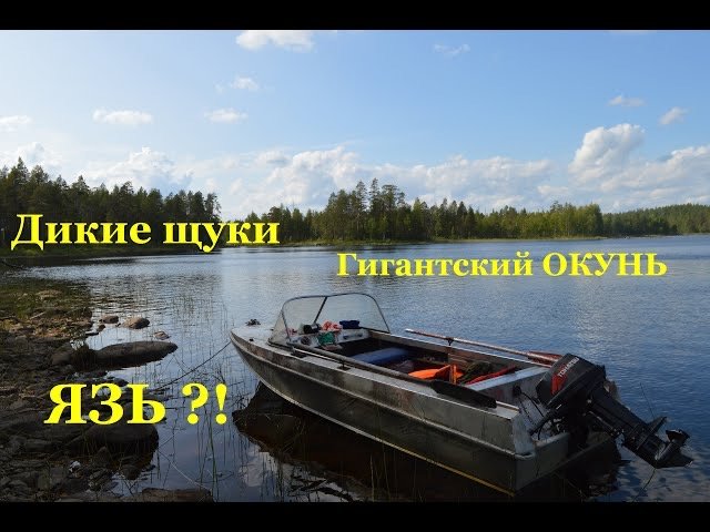 РЫБАЛКА В СЕВЕРНОЙ КАРЕЛИИ / Вот ЭТО КЛЁВ! / Спиннинг/ Путешествие  День 1-2.