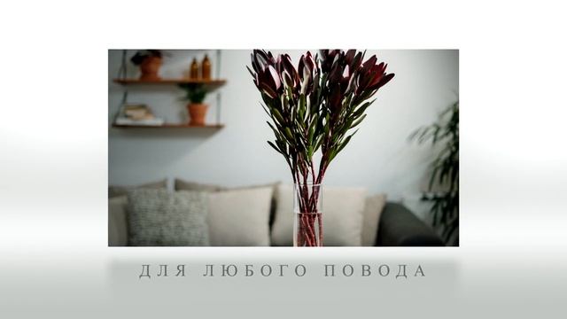 Слайд шоу Рекламный ролик_1080p.mp4