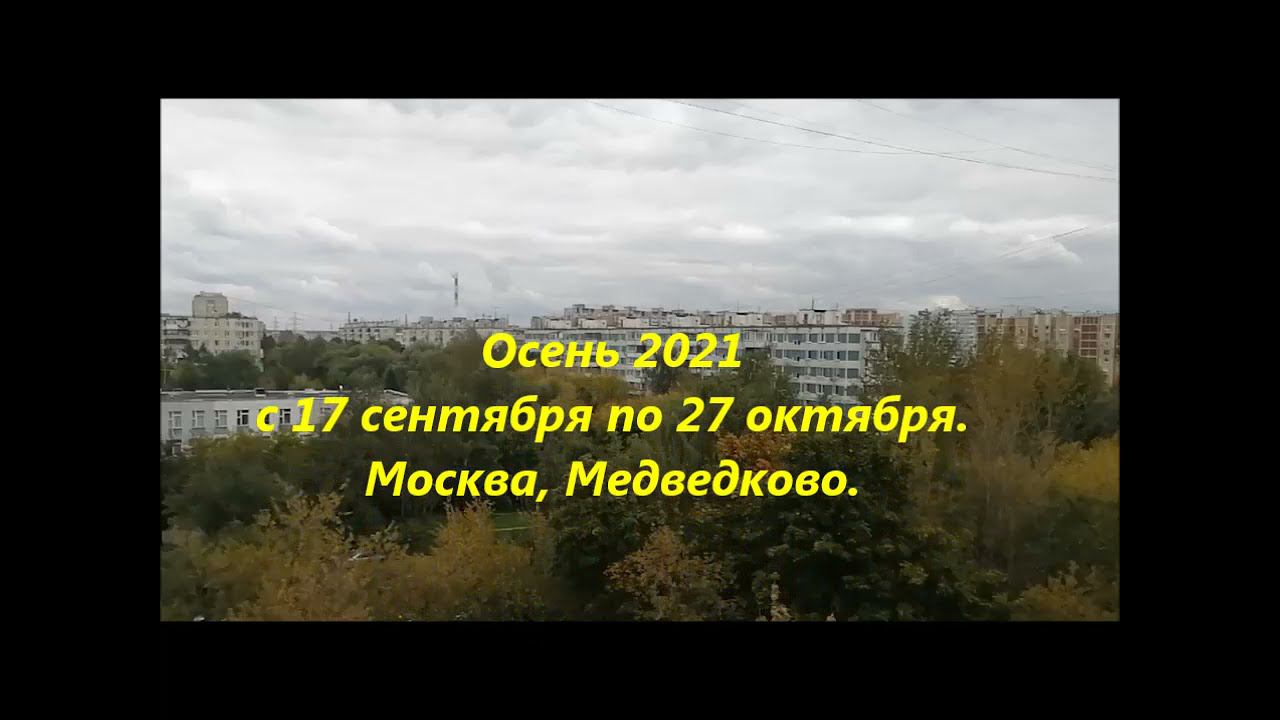 Осень 2021 с 17 сентября по 27 октября Москва Медведково.