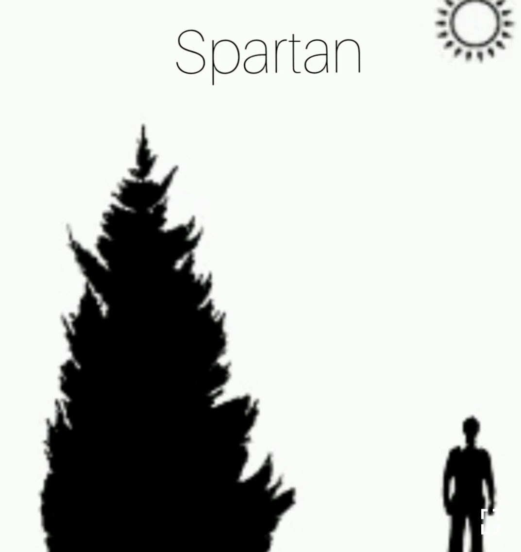 Можжевельник китайский Спартан "Spartan"