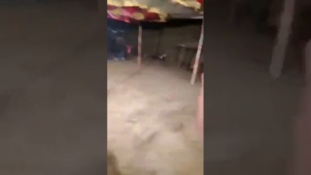 танец животных в исполнении человека