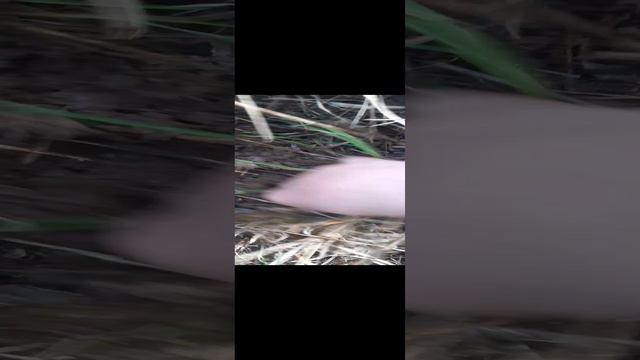 Подземный ручей...