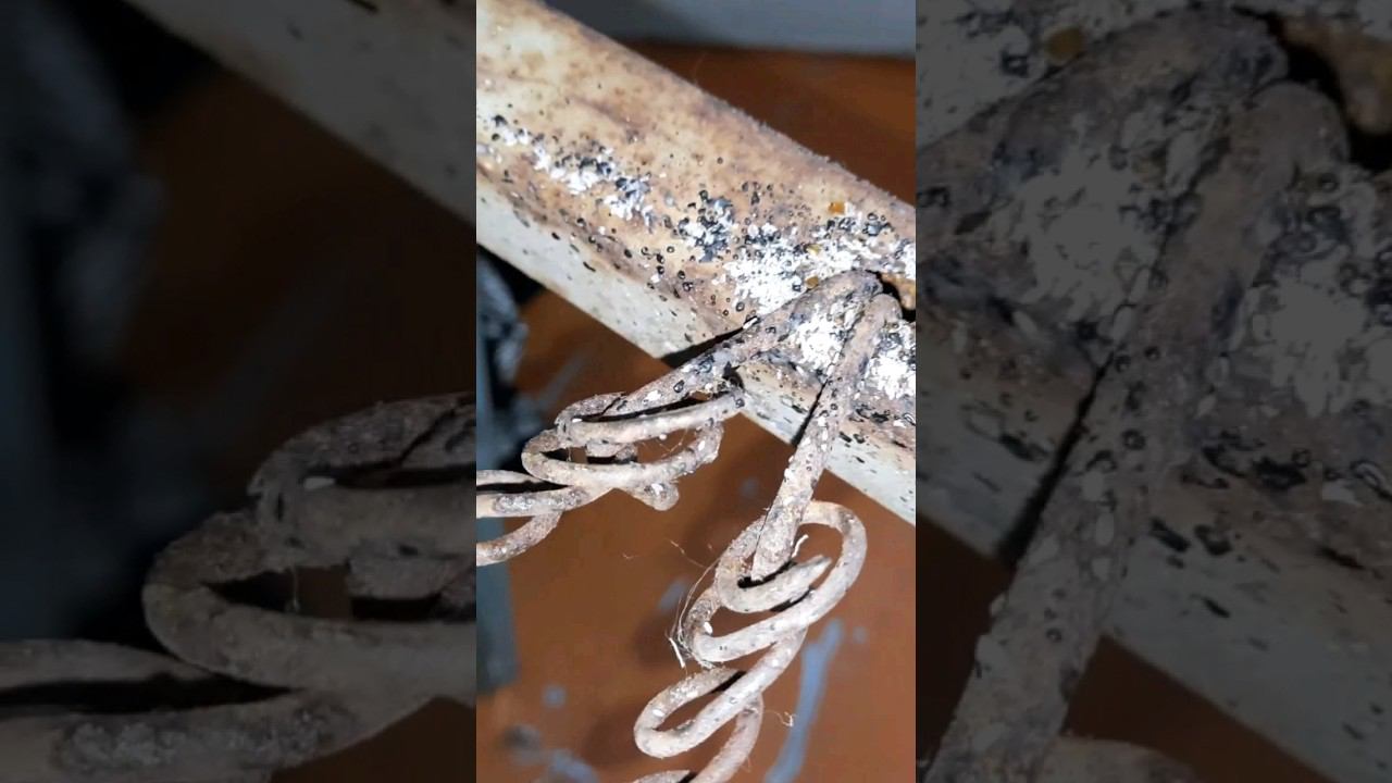 "Железные клопы часть 3" |Подпишись | #клопы #клопывквартире